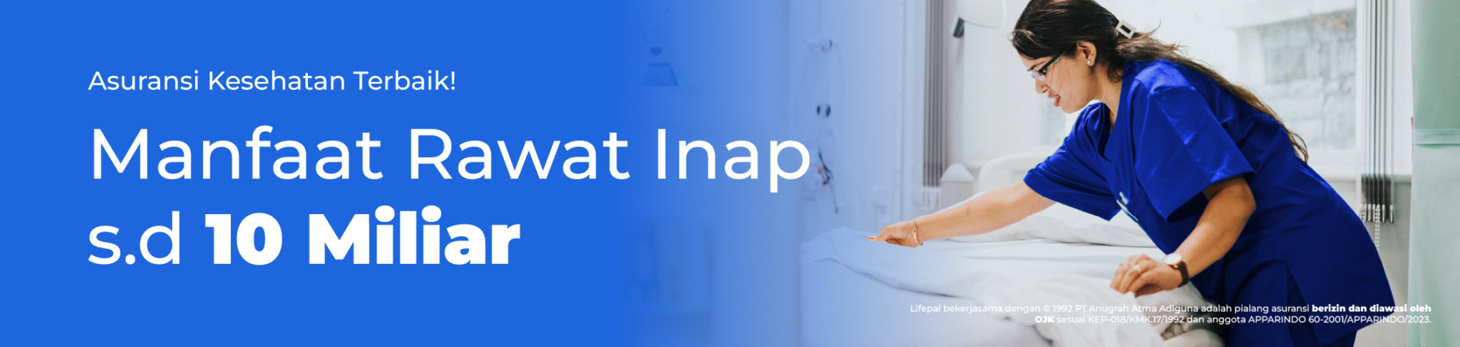 Mengenal Apa Itu Limpa dan Fungsinya Pada Tubuh